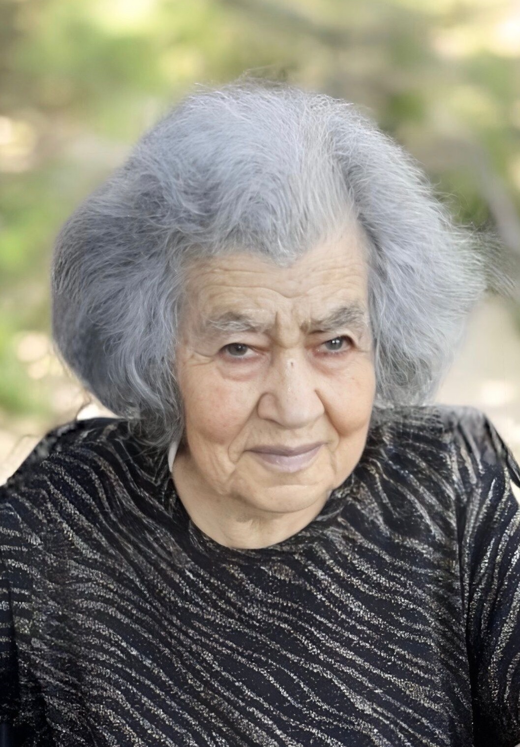 Maria Alice da Costa Sá – Funerária Palhares